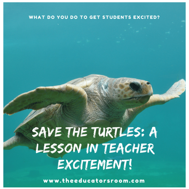 Save the Turtles: A Lesson in Teacher Excitement! - The Educators Room